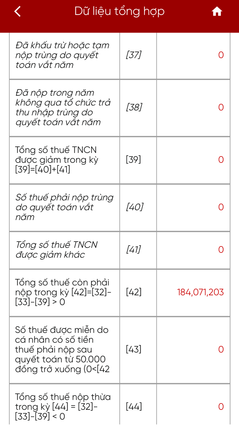 'Bỗng nhiên phát hiện nợ 225 triệu đồng thuế thu nhập cá nhân'