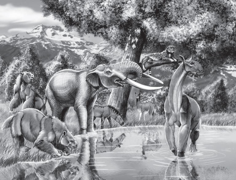 Giant Megafauna Lived Alongside Humans As Recently As 3,500 Years Ago