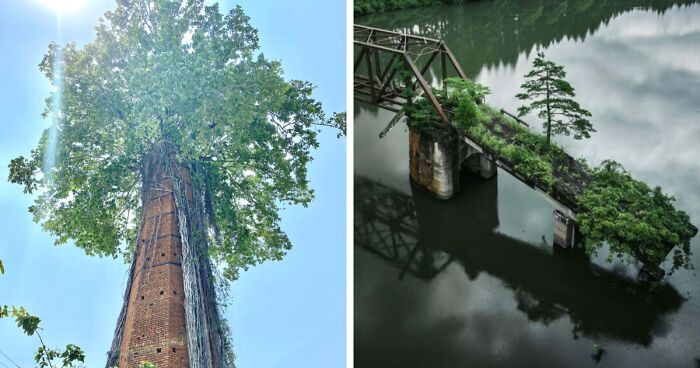 48 Stunning Examples Of Nature Reclaiming What Humans Left Behind (New ...