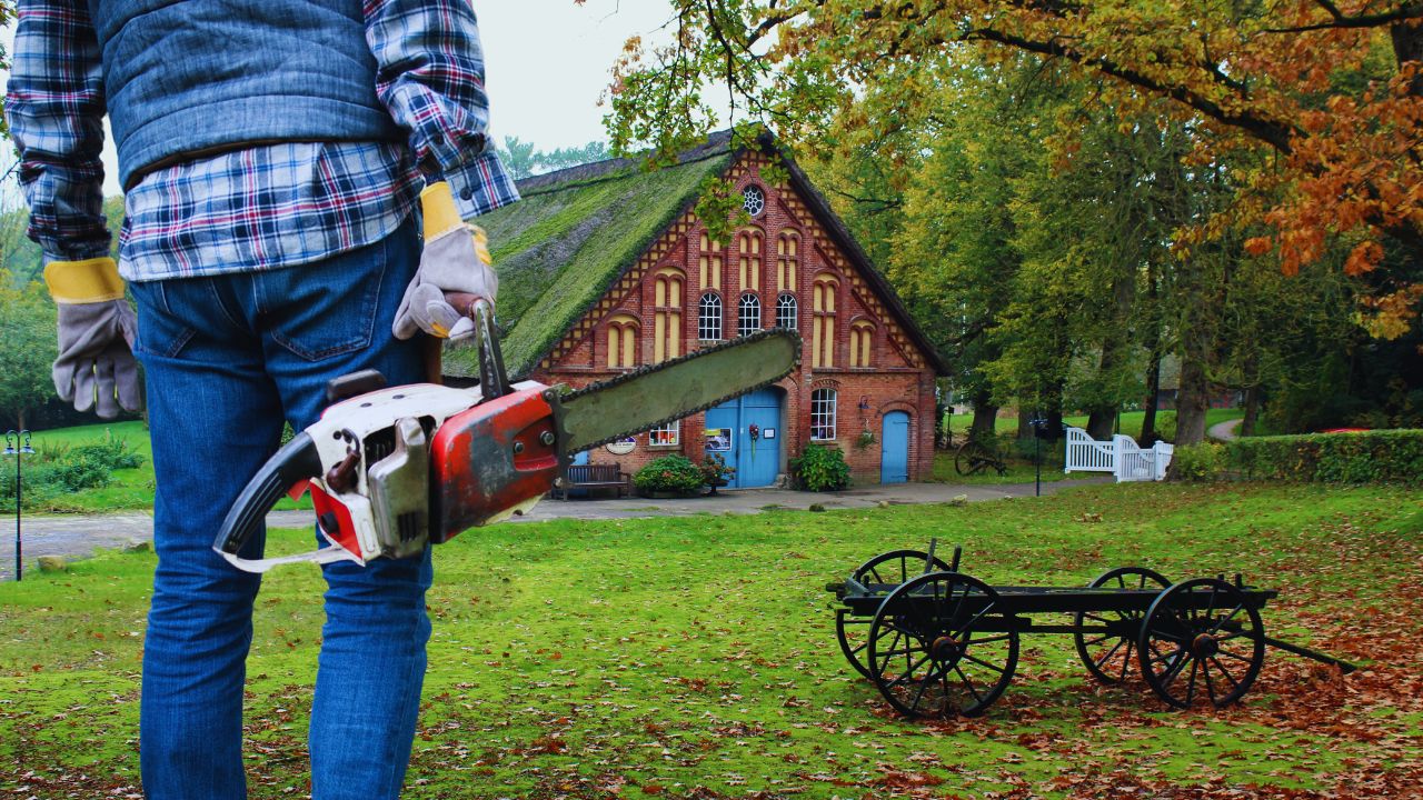 Don’t Waste Money on Gimmicky Homesteading Gadgets. Get These 10 Proven ...