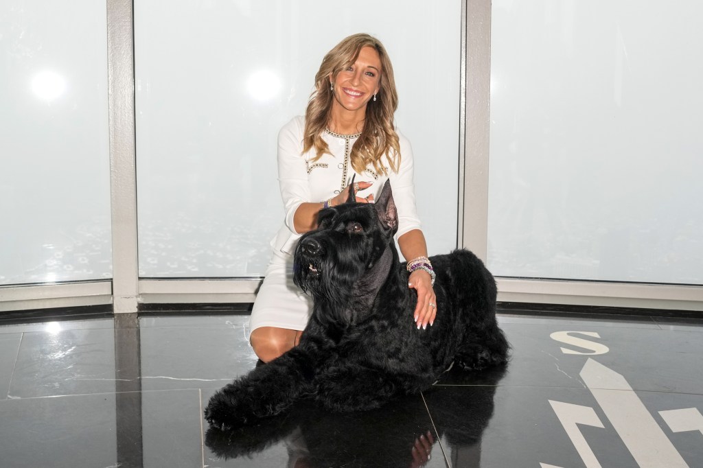 Meet Monty, the giant schnauzer who made Westminster history as 2025 ...