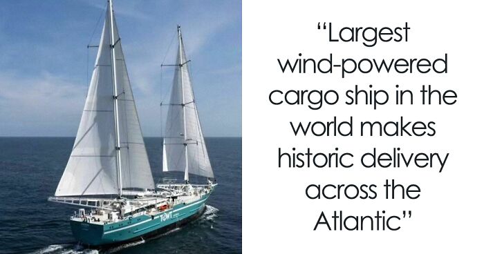 49 Positive Headlines That Might Bring Some Sunshine To Your Day