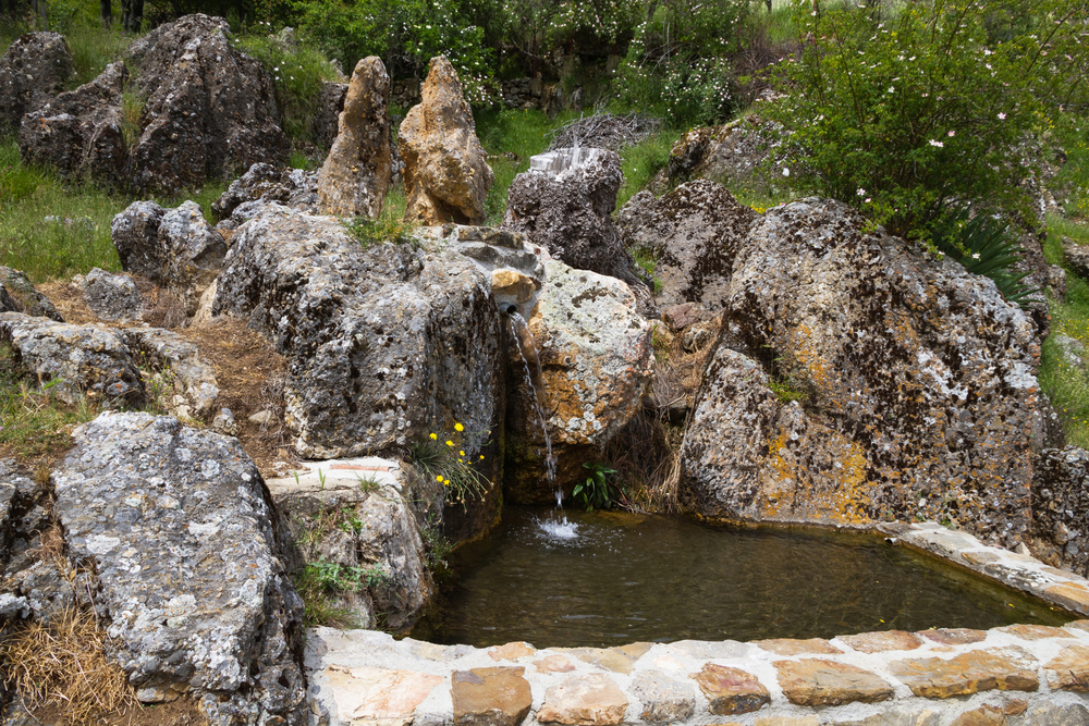 20 DIY backyard water features to elevate your outdoor space
