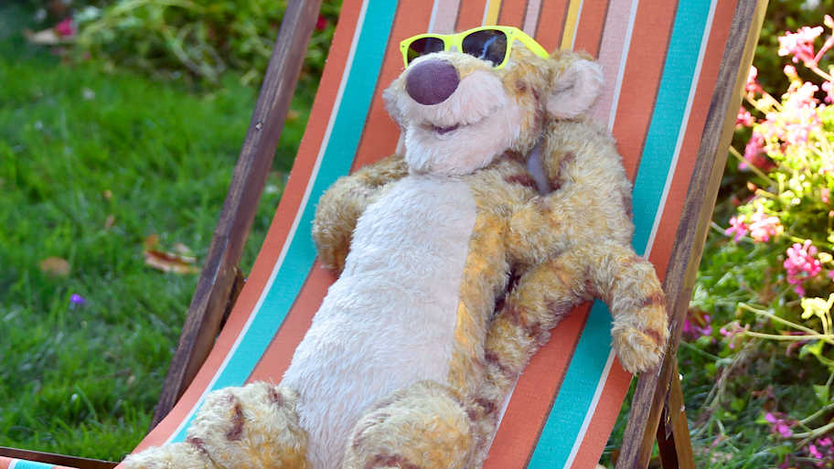 Why the new Tigger plush will sell out, Cast Member reveals
