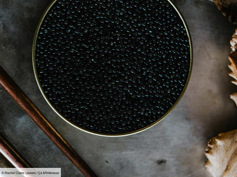 Caviar ou œufs de lompe : quelle est la vraie différence
