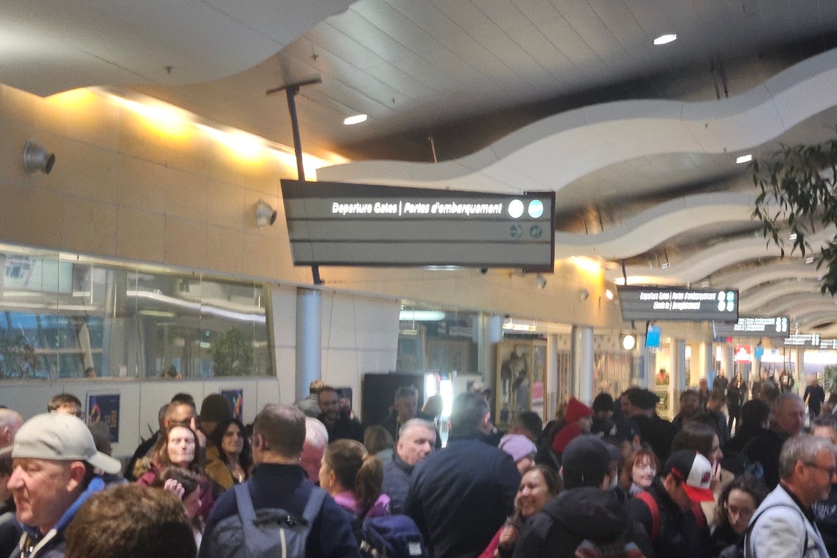 ‘An apology would certainly be in order’: American recounts being stuck ...