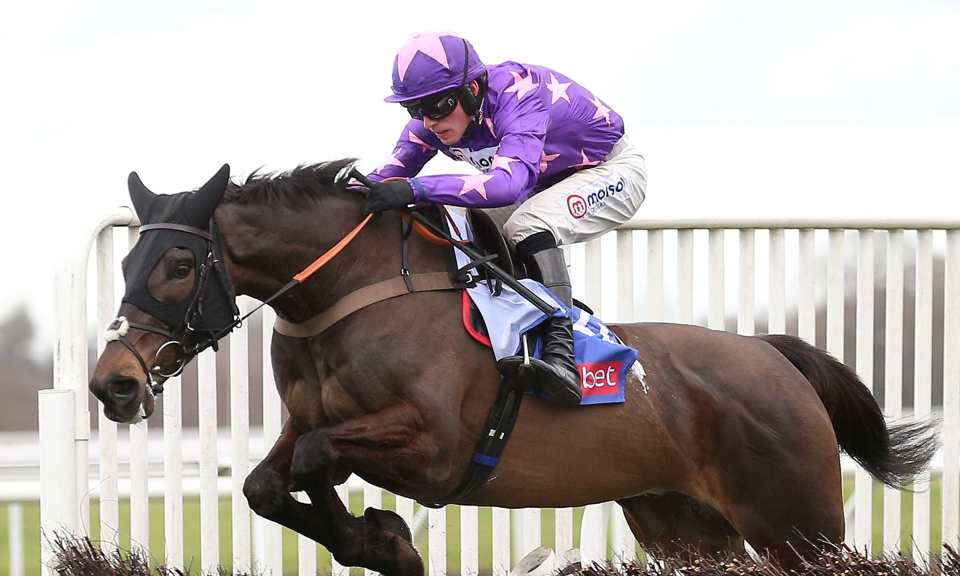 Robin Goodfellow's racing tips: Best bets for Saturday, February 22