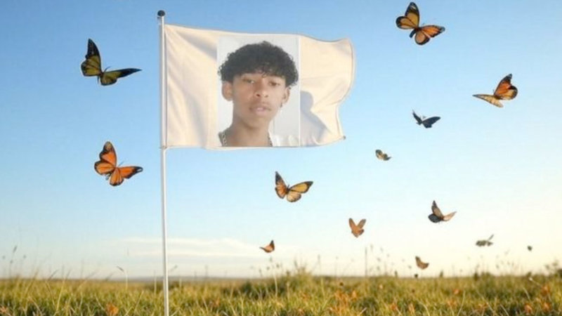 What's With All The Memes About 'Injecting Crushed Butterfly'? The ...