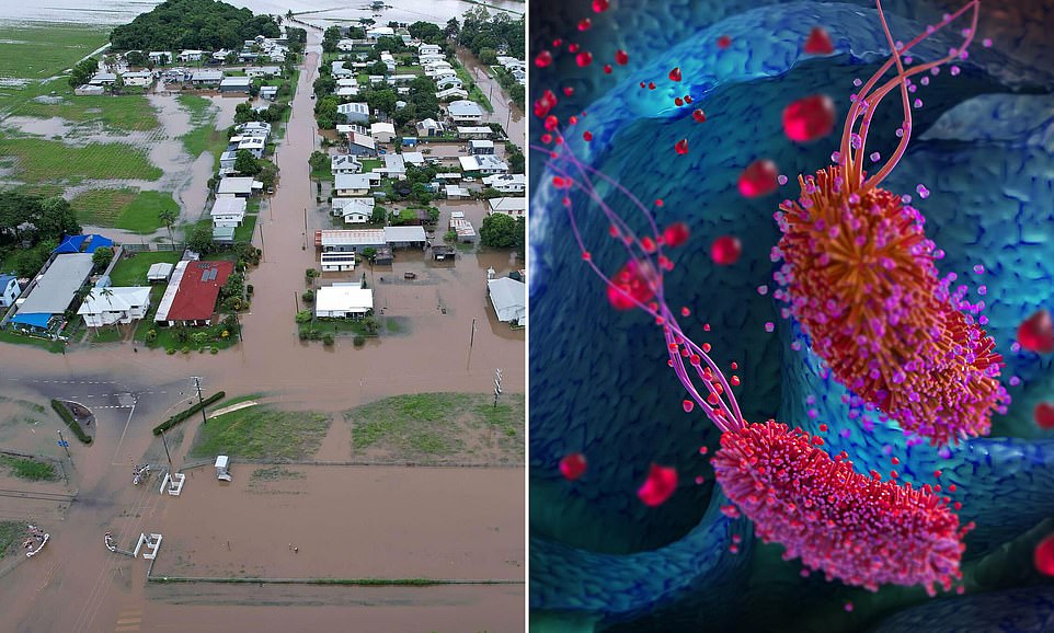 Deadly bacteria found in Australian waters claims nine lives