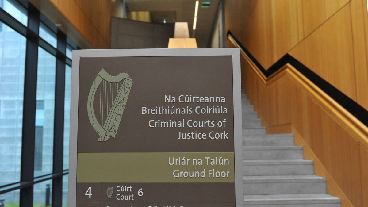 Cork man hit his mother in the face with a saucepan as she slept in her ...