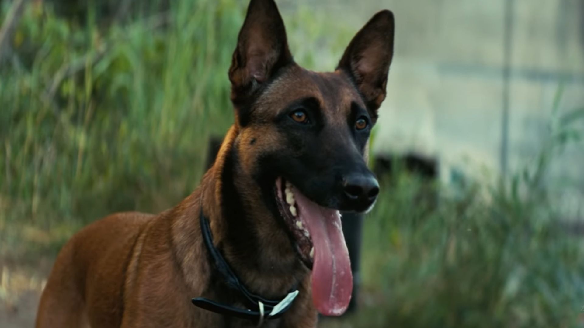 Friend Or Foe: 10 Video Game Companions That You Can Rely On & 10 That ...