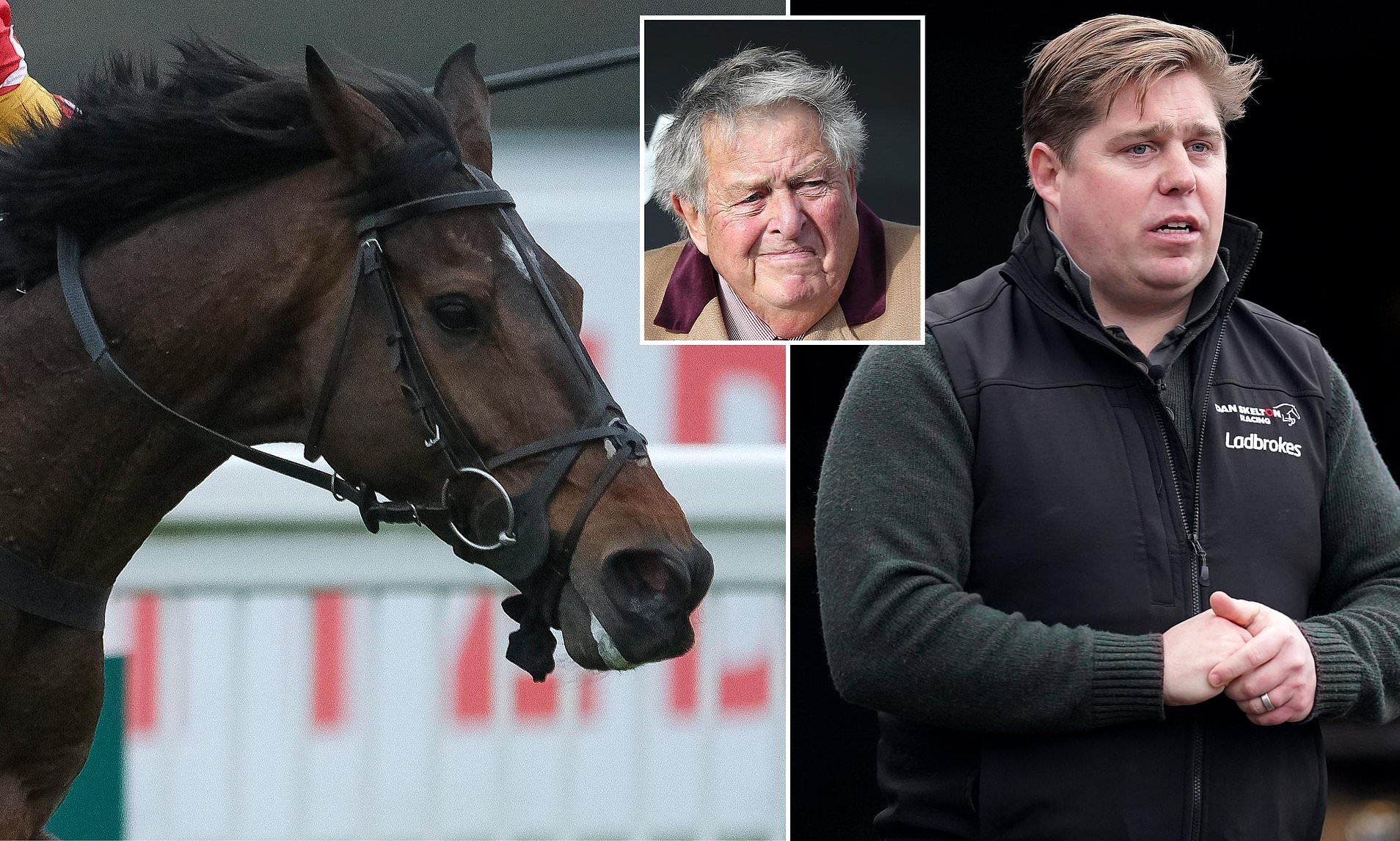 Dan Skelton claims Protektorat is in his 'best ever shape' - as he bids ...