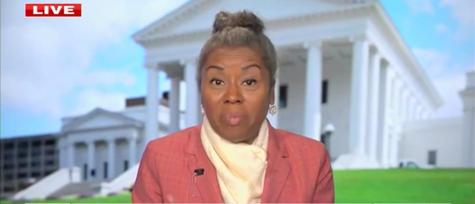 ‘You Were Certain Before’: Winsome Sears Taunts James Carville After He ...