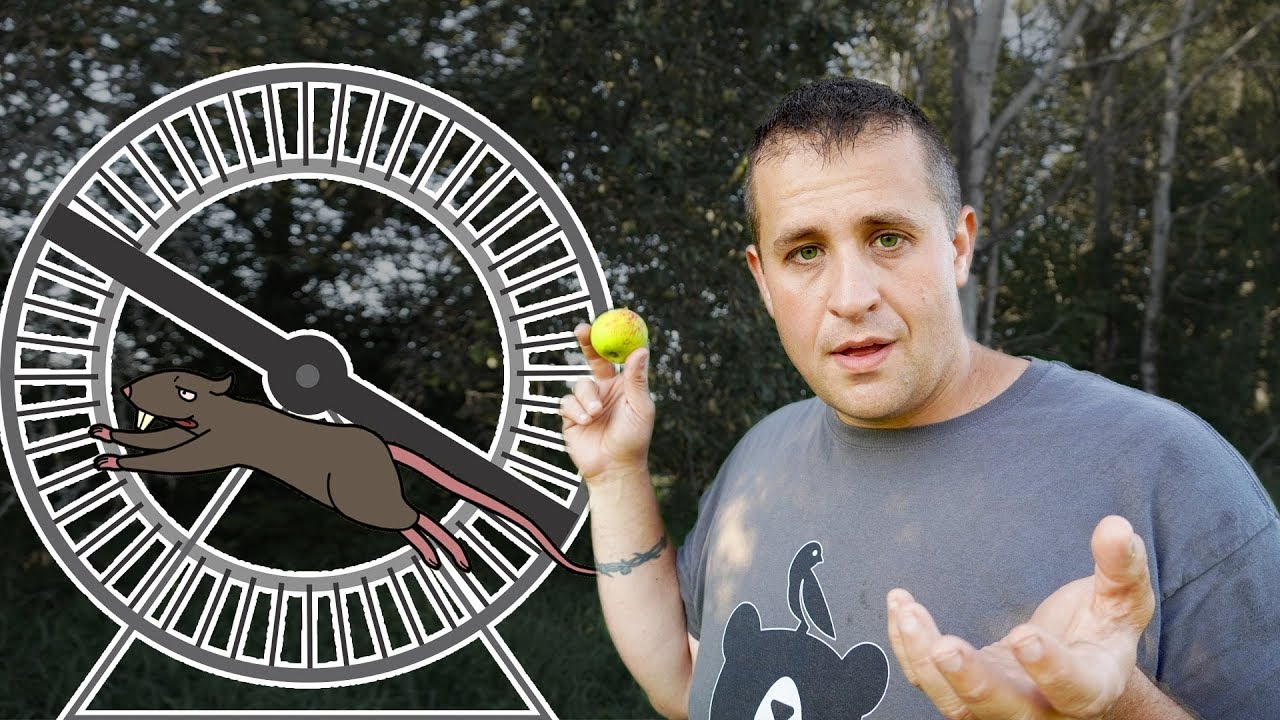 Planning to Escape the Rat Race Through Farming