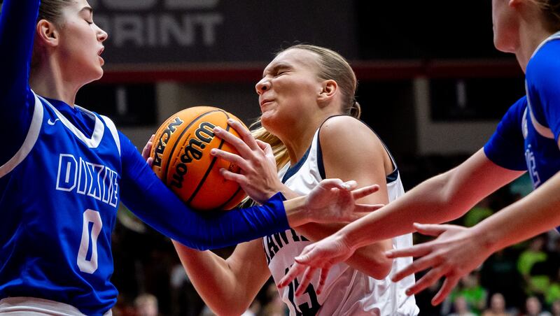 High school girls basketball: 2025 Class 4A team-by-team region ...