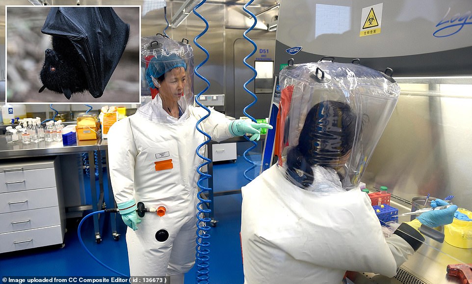 Another pandemic scare as scientists discover new coronavirus in China