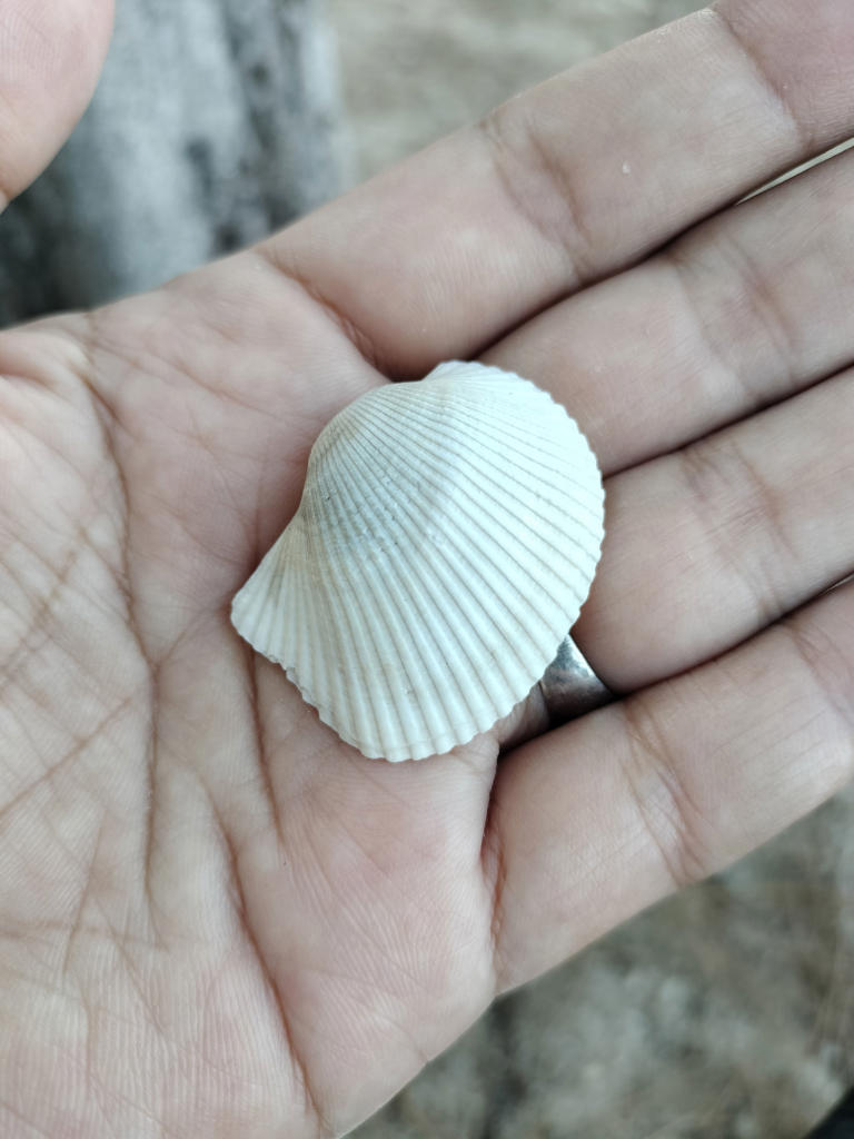 Why Your Fingers Wrinkle When They Get Wet And Why Some People’s Don’t