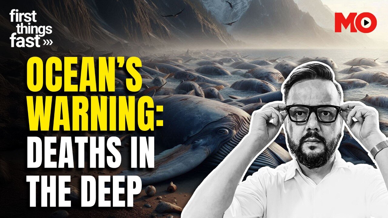 Ocean's warning: Mysterious marine deaths worldwide
