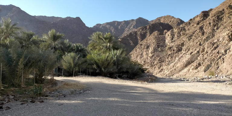 If DC and Marvel's New Crossover Wants to Succeed, It Needs to Revive a ...