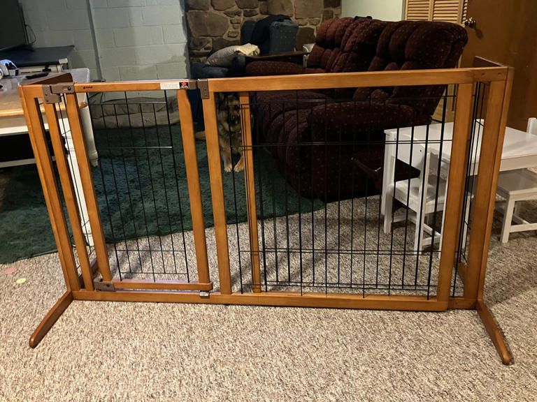 The 5 best dog gates in 2025, tested and reviewed