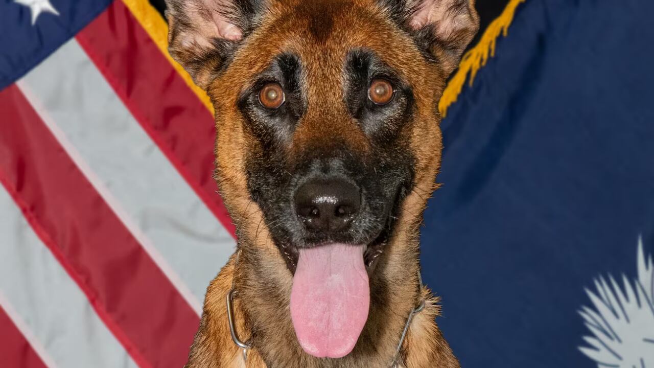 K-9 named after trooper who was killed during Dillon County traffic stop