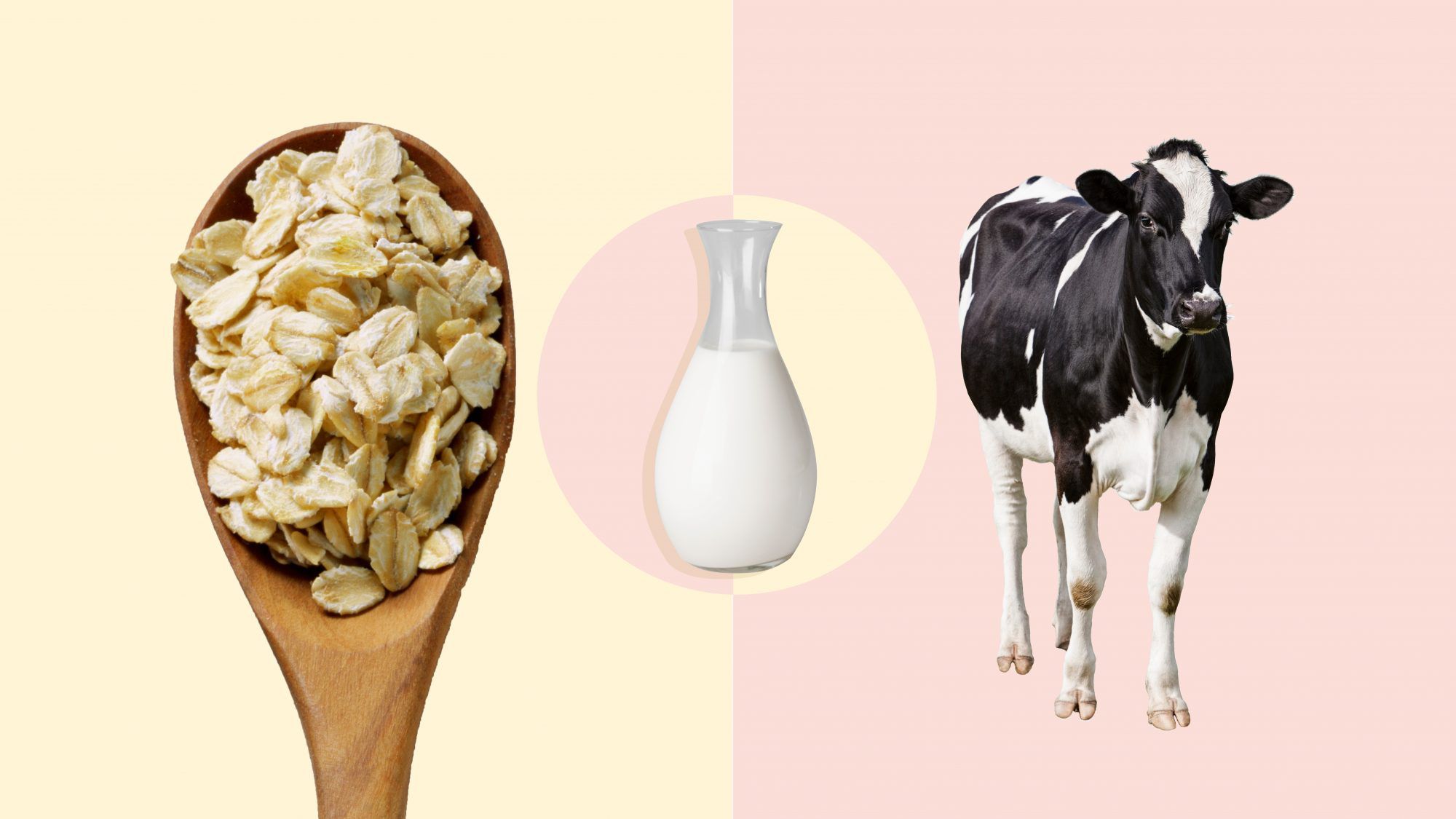 Is oat milk good for you? Here's what health experts say