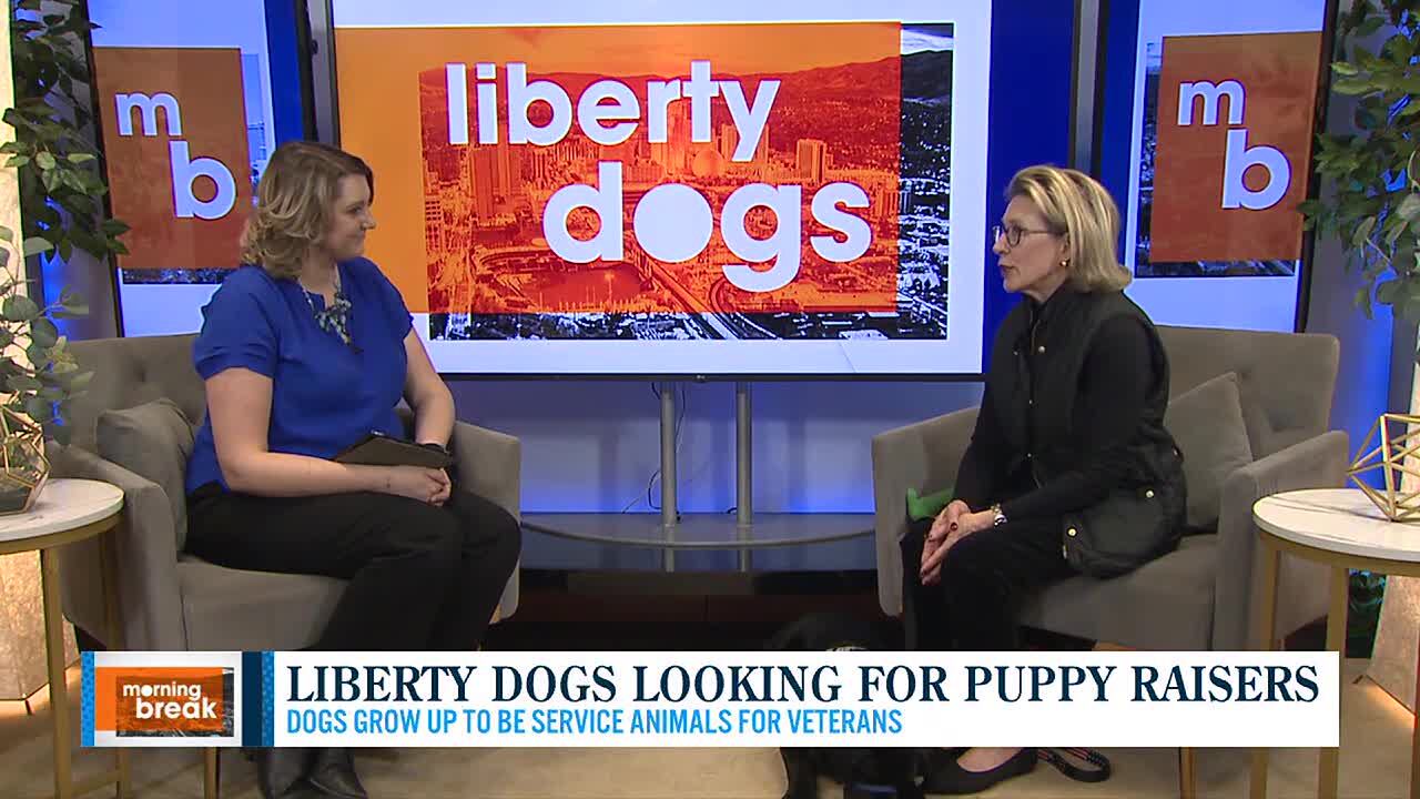 Liberty Dogs looking for volunteer puppy raisers to care for future ...