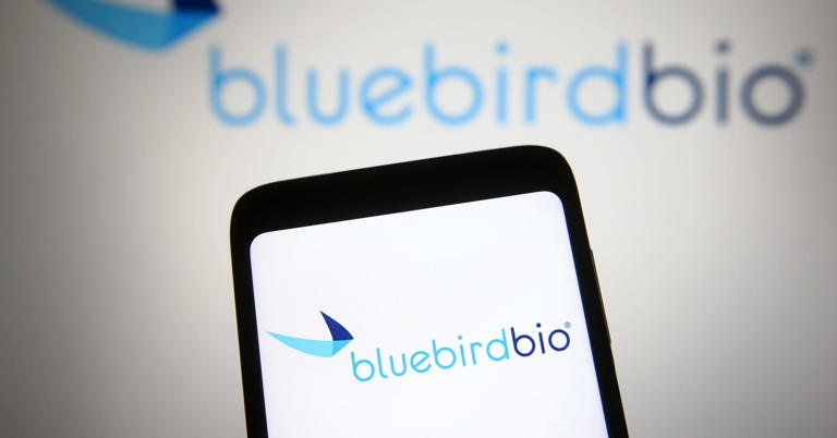Once high-flying Bluebird Bio sells itself to private equity after ...