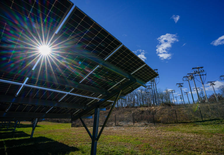 Solar power has exploded in popularity as wind lags, report shows