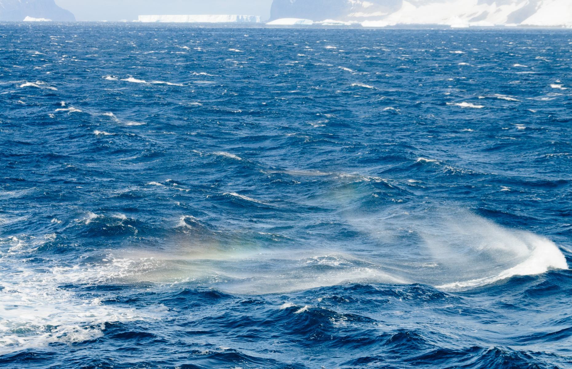 The most mysterious disappearances at sea