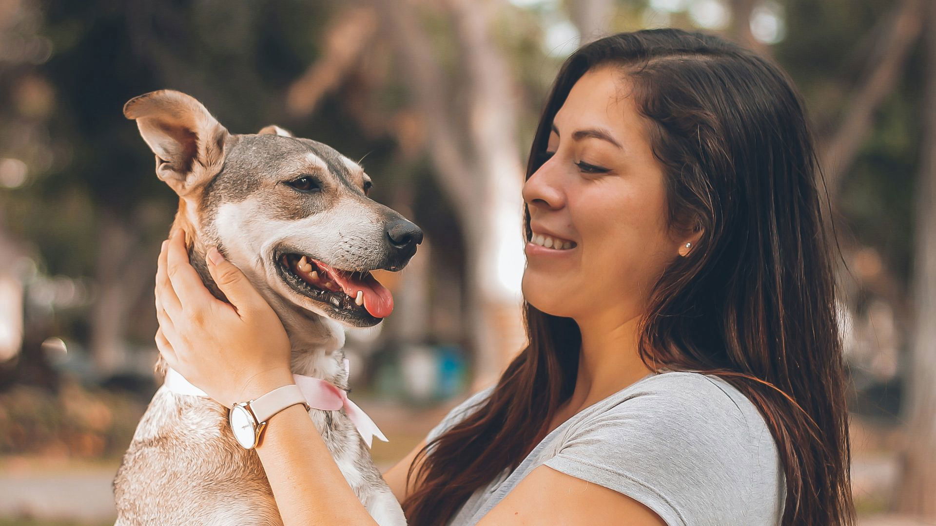 10 raisons pour lesquelles vous n’êtes pas apte à posséder un animal de ... 10 raisons pour lesquelles vous n’êtes pas apte à posséder un animal de ...