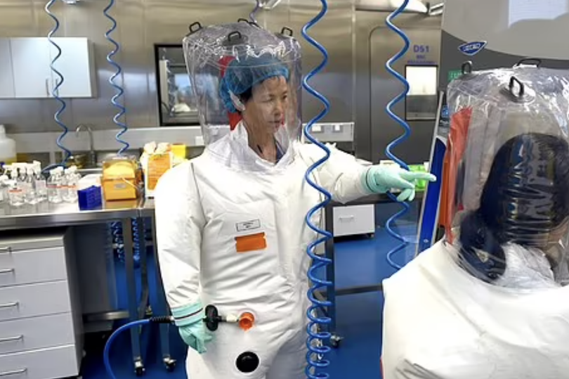 New coronavirus 'with pandemic potential' discovered in China