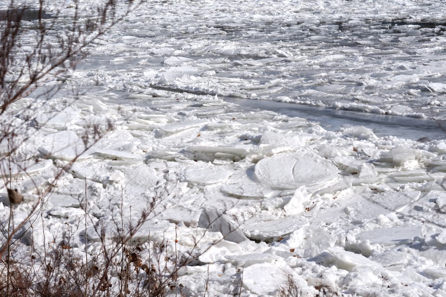 2 children fall through Susquehanna River while trying to rescue dog
