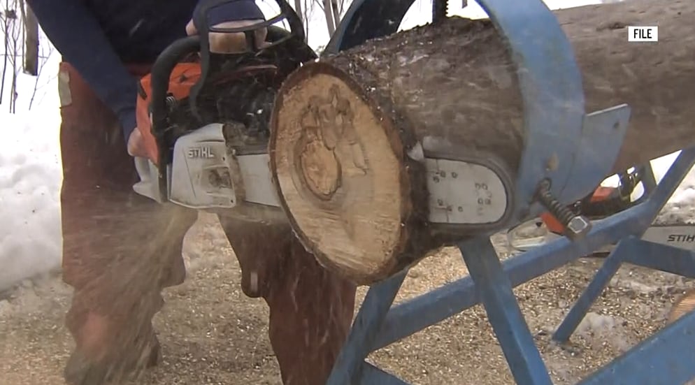 Linn Co. deputies investigating logging death near Sweet Home