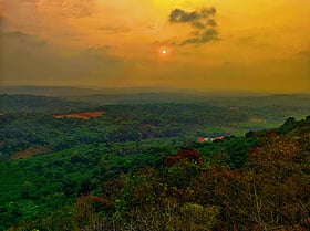 Planning a picnic? Check out Koorumala — only an hour's drive from Kochi