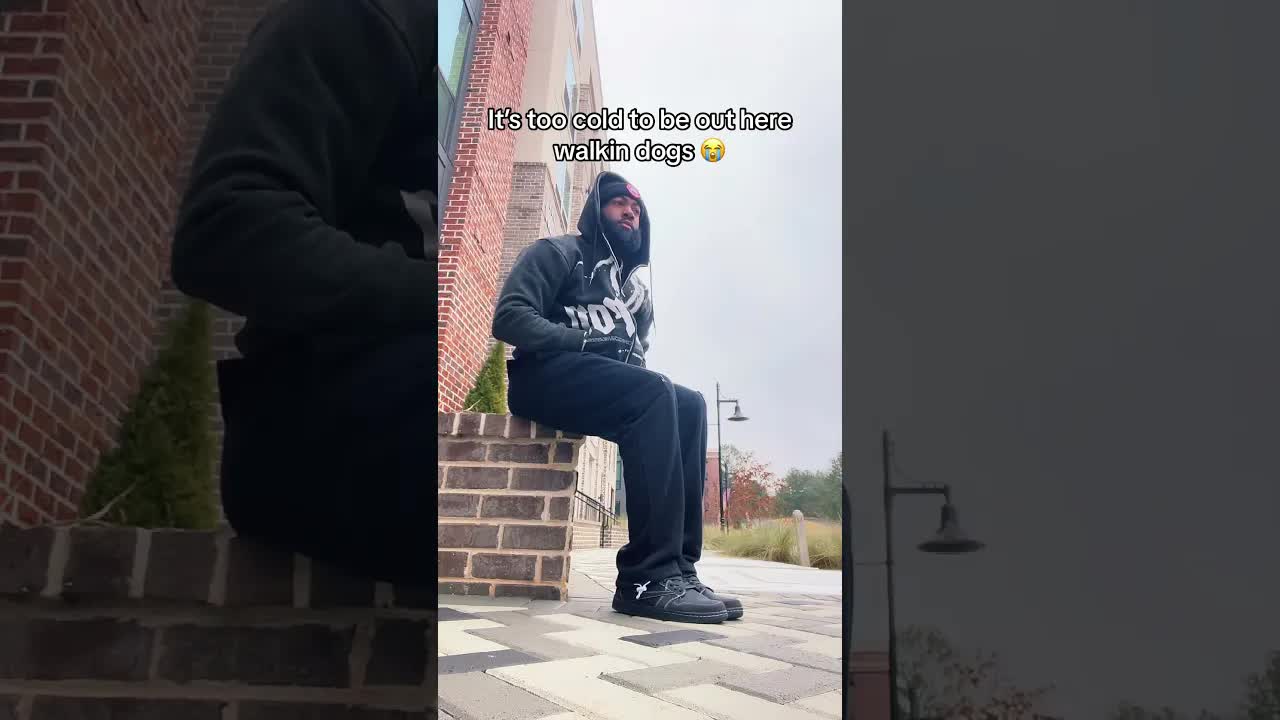 Chill Day with My Dog: A Pup's Perspective