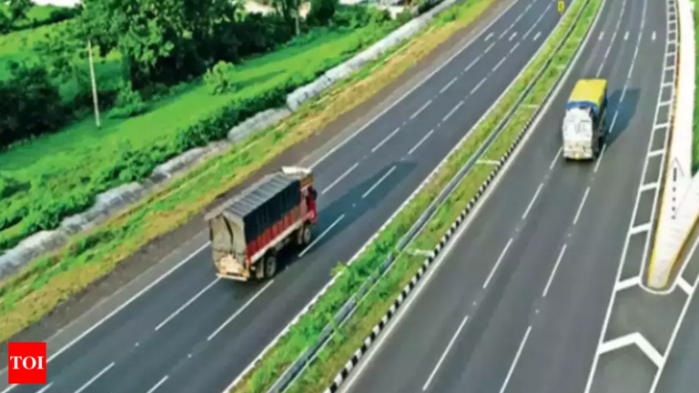 Major overhaul for Gujarat roads with new expressways, high-speed corridors