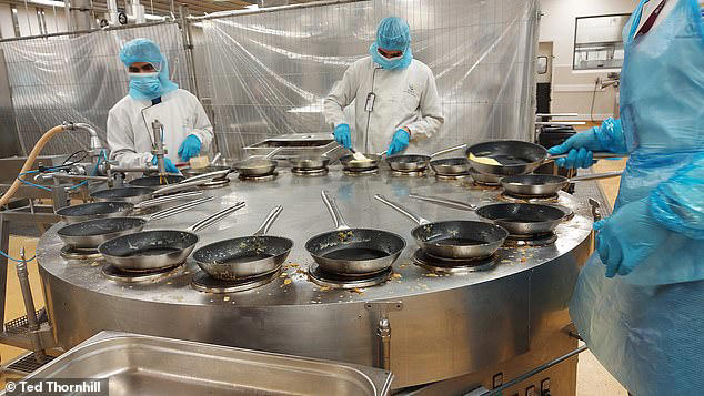 How plane food is really made: Inside the incredible 'kitchen city ...