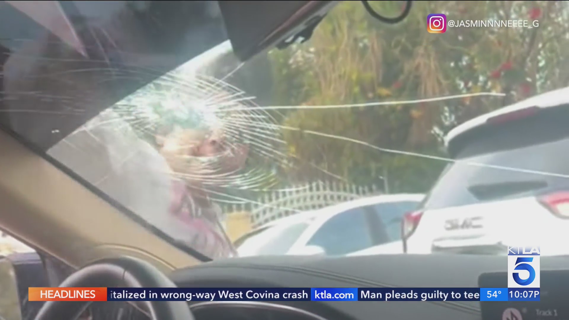 Violent road rage attack in Exposition Park caught on camera