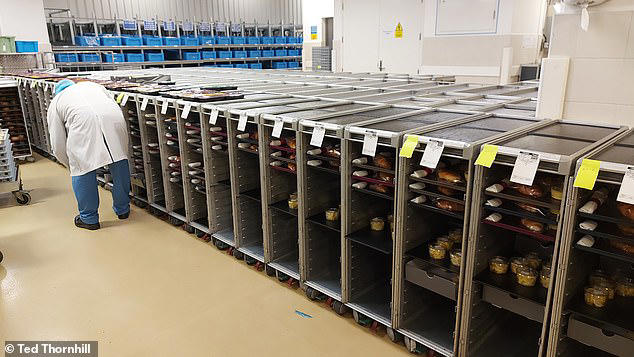 How plane food is really made: Inside the incredible 'kitchen city ...