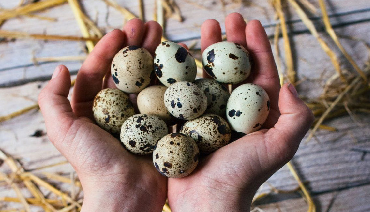 10 Least Known Health Benefits of Quail Eggs
