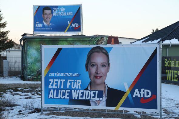 Germany Election 2025: What is the AfD and what does its leader Alice ...