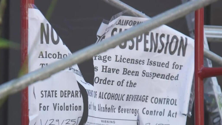 ICAI CA May 2025: Registration window for foundation, intermediate ...