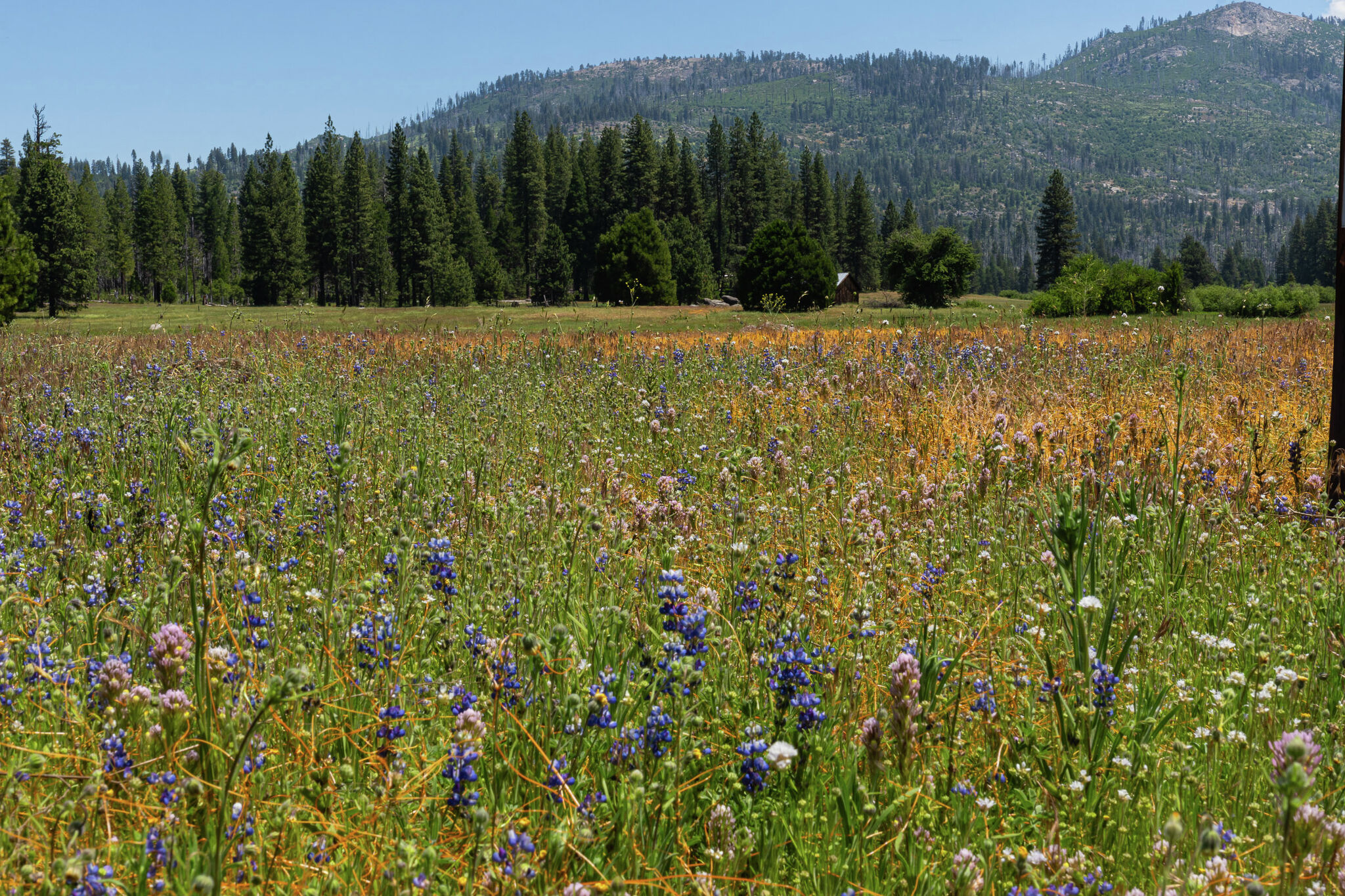 EPA asks to miss key California deadline, blames ‘budget and staffing’
