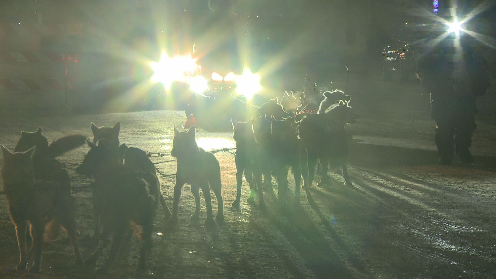 Balto would be proud: Musher re-enacts lifesaving serum run to Nome 100 ...