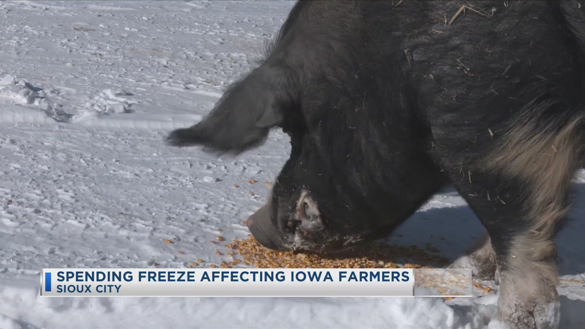 Spending Freeze Affecting Iowa Farmers