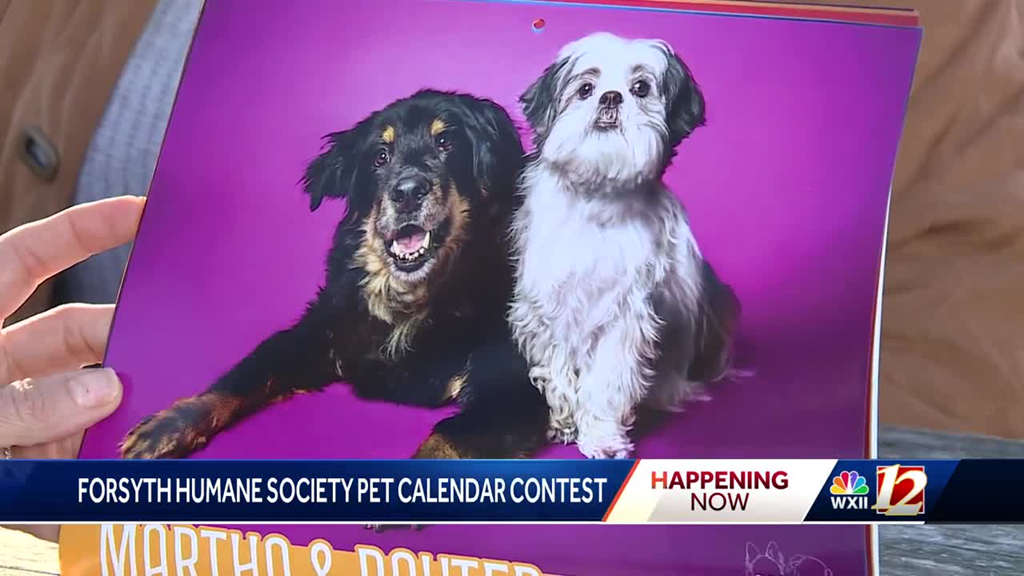 Pet Calendar Contest!! This could be your Dog or Cats Year!