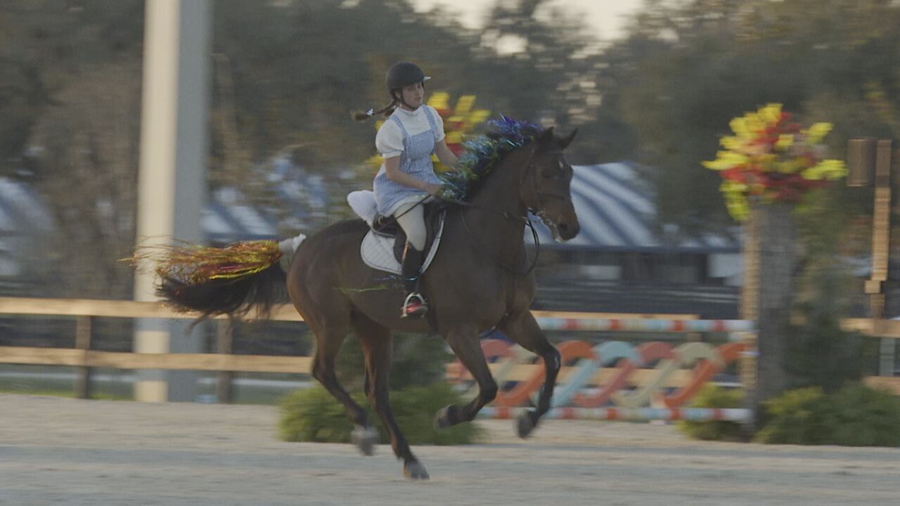 Inaugural Children’s Charity Classic equine event raises money for ...