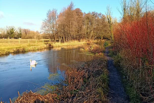 Walk of the Week: Bishopstoke to Brambridge for cake and back