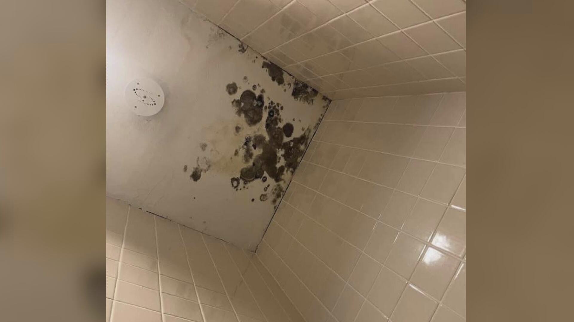 ‘It’s their job to make sure their students are being in a healthy ...